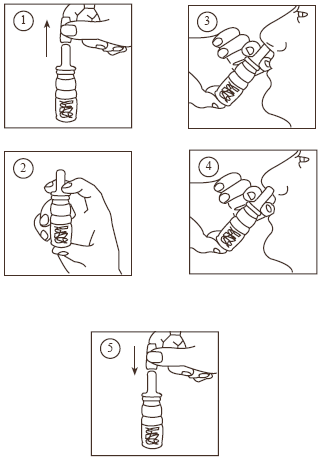 Octostim 1,5 mg/ml aerosol nasal